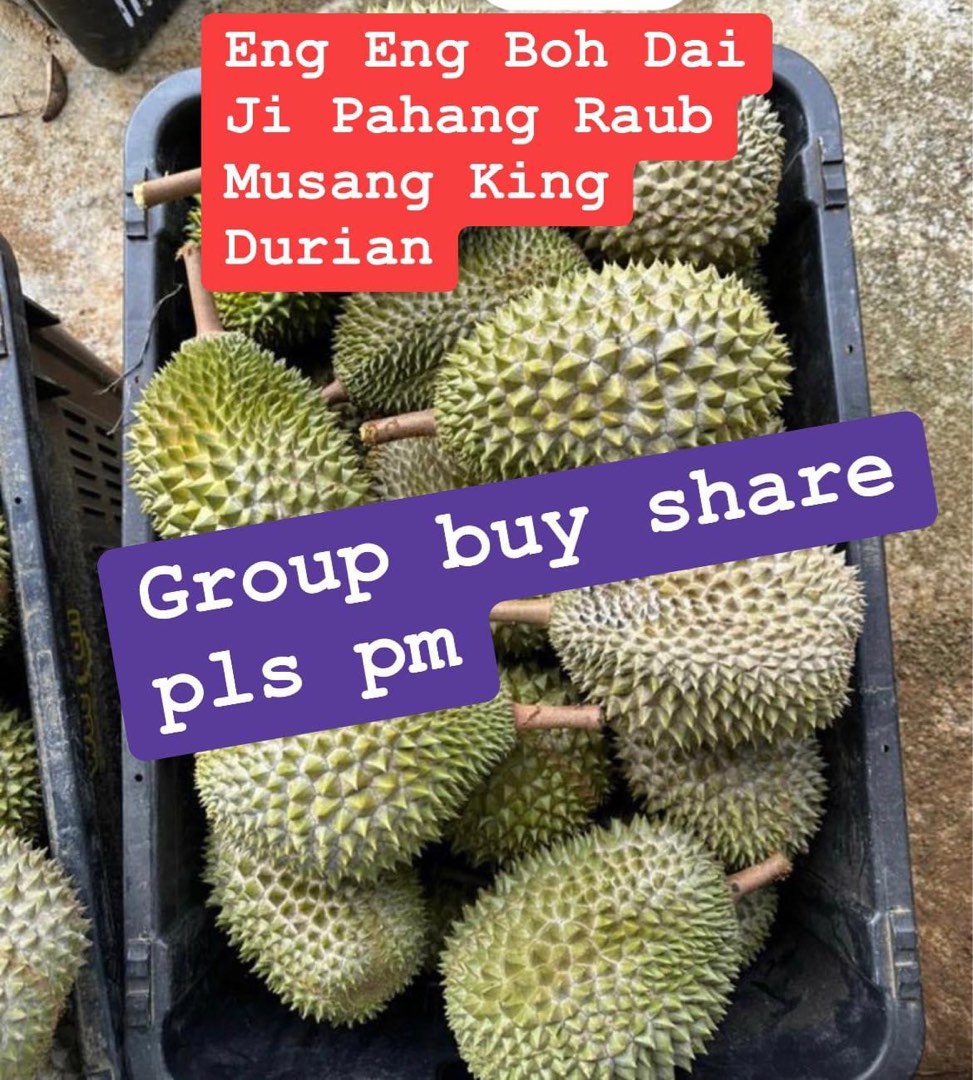 Musang King Durian, Food & Drinks, Fresh Produce on Carousell