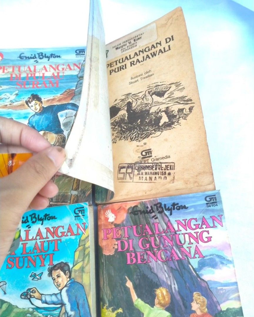 PAKET ENID BLYTON PETUALANGAN DI PULAU SURAM,PETUALANGAN DI PURI RAJAWALI,PETUALANGAN DI LAUT ...