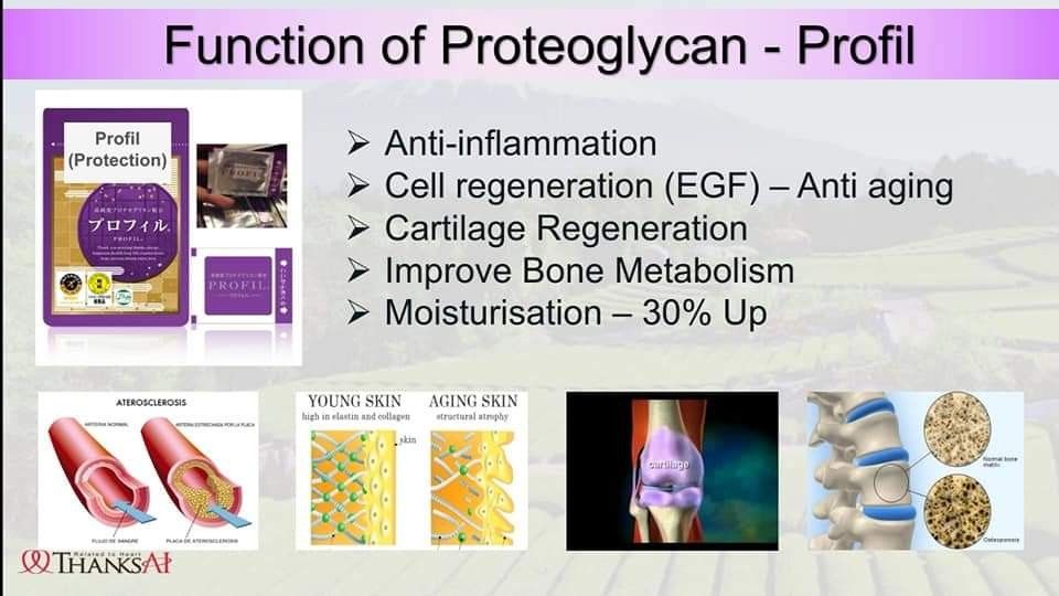 Profil Protoglycan Japan, Health & Nutrition, Health Supplements ...