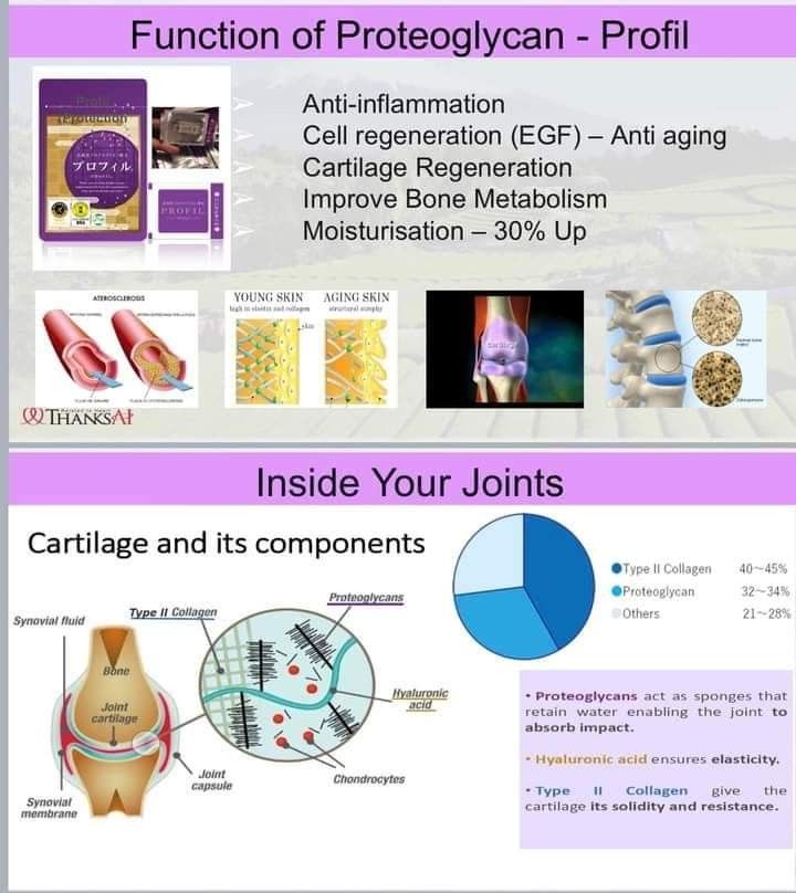 Profil Protoglycan Japan, Health & Nutrition, Health Supplements ...