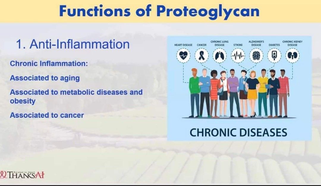 Profil Protoglycan Japan, Health & Nutrition, Health Supplements ...