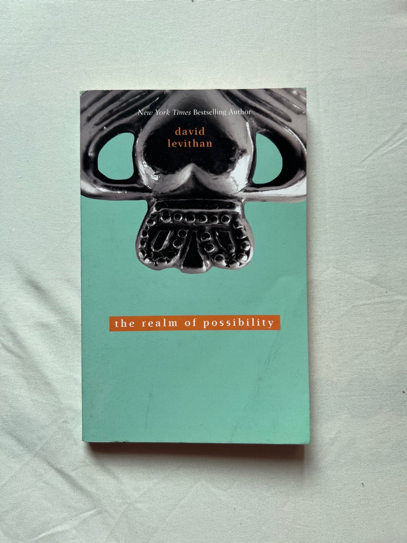 The Realm of Possibility by David Levithan, Hobbies & Toys, Books ...