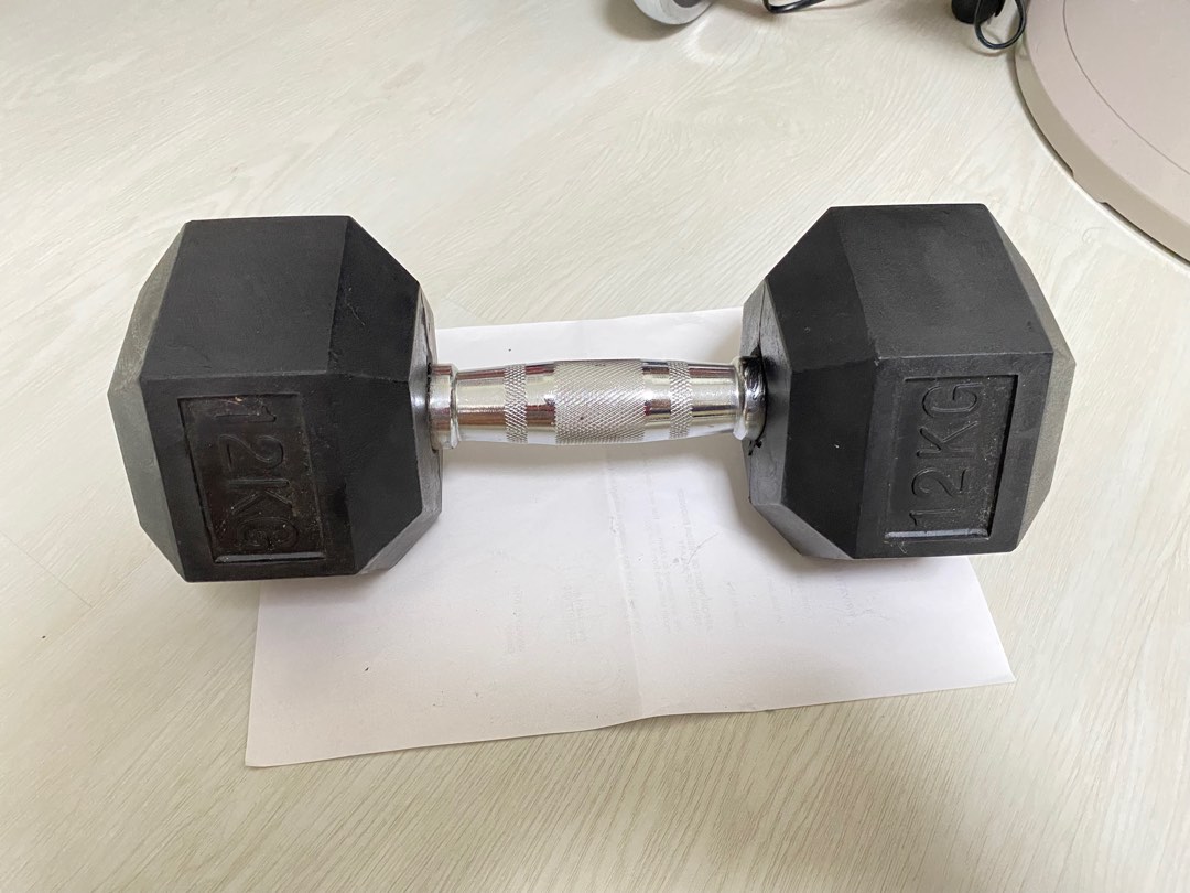 12kg Dumbbell, Sports Equipment, Exercise & Fitness, Weights ...