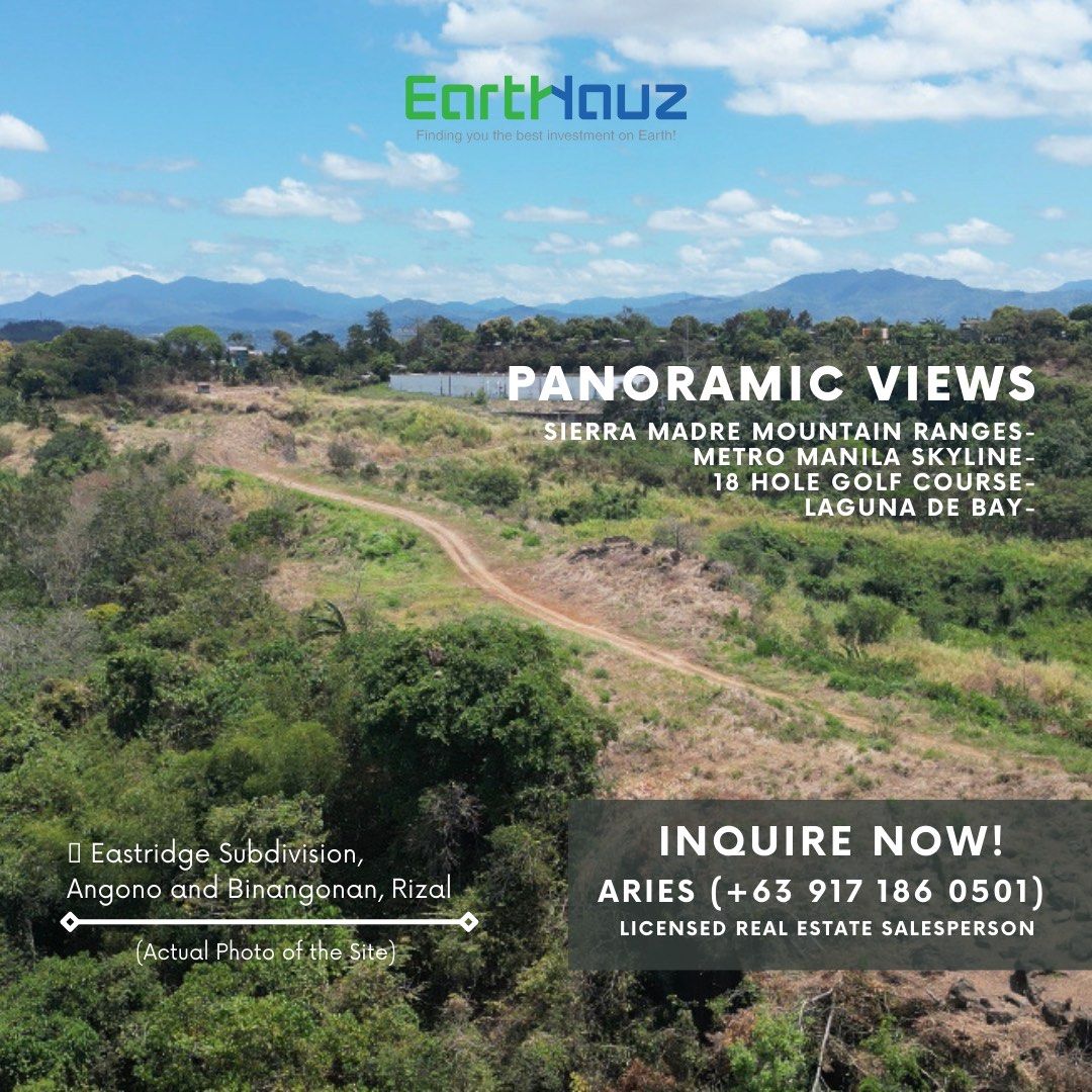 305 to 653 sqm. Exclusive Residential Lot in Eastridge Subd. Angono ...