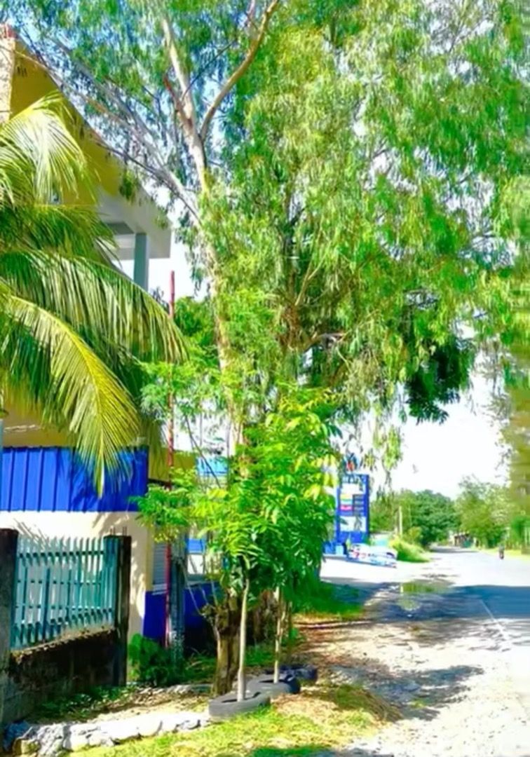 ₱3,500 / 3400m2 - Beach Front Lot FSBO - RUSH SALE! (Masinloc, Zambales ...