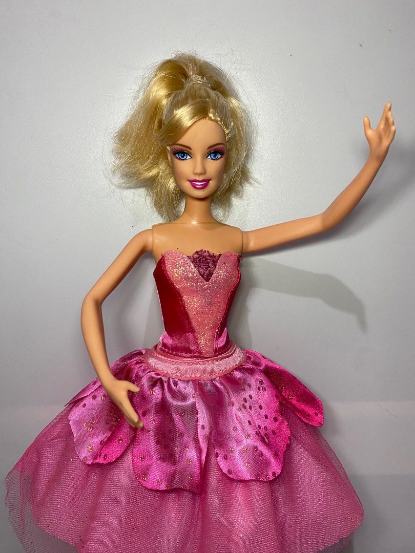 Barbie in The Pink Shoes Transforming Ballerina Kristyn Doll, Hobbies ...