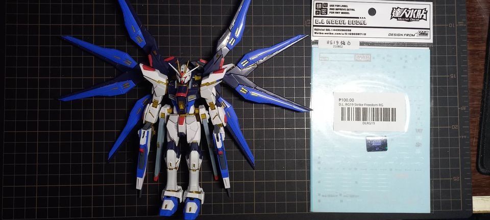 [BUILT] RG Strike Freedom Gundam + Free Waterslide Decal Sheet, Hobbies ...