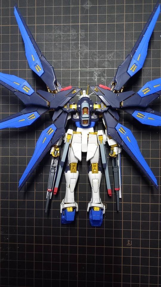 [BUILT] RG Strike Freedom Gundam + Free Waterslide Decal Sheet, Hobbies ...