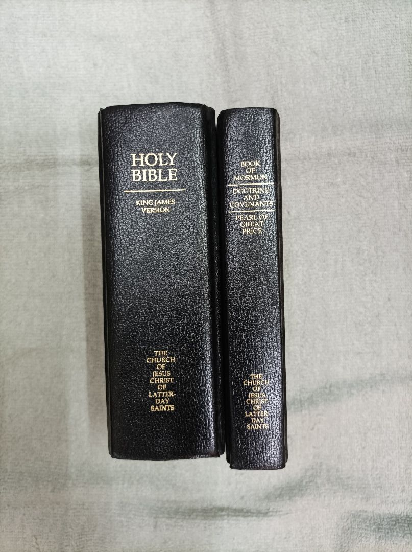 (Bundle/Set) Holy Bible King James Version. Book of Mormon/Doctrine and ...