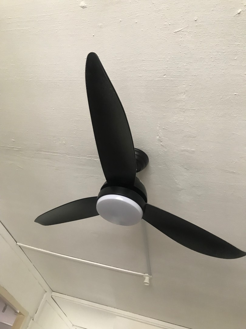 Daiko Ceiling Fan, Furniture & Home Living, Lighting & Fans, Fans on ...