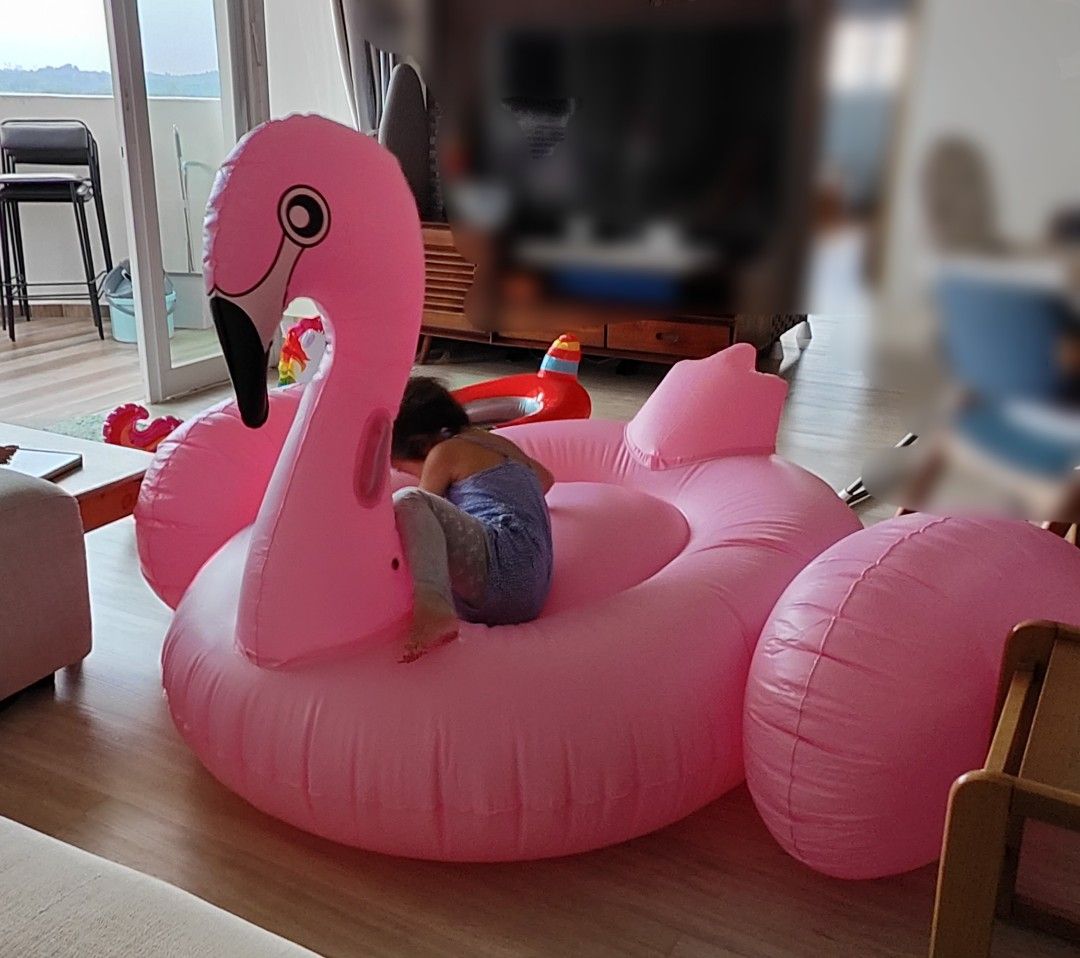 Giant flamingo float, Hobbies & Toys, Toys & Games on Carousell