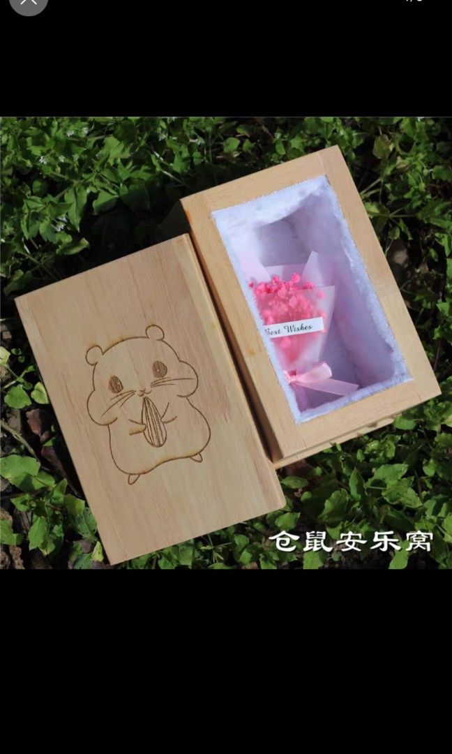 Hamster Coffin, Pet Supplies, Homes & Other Pet Accessories on Carousell