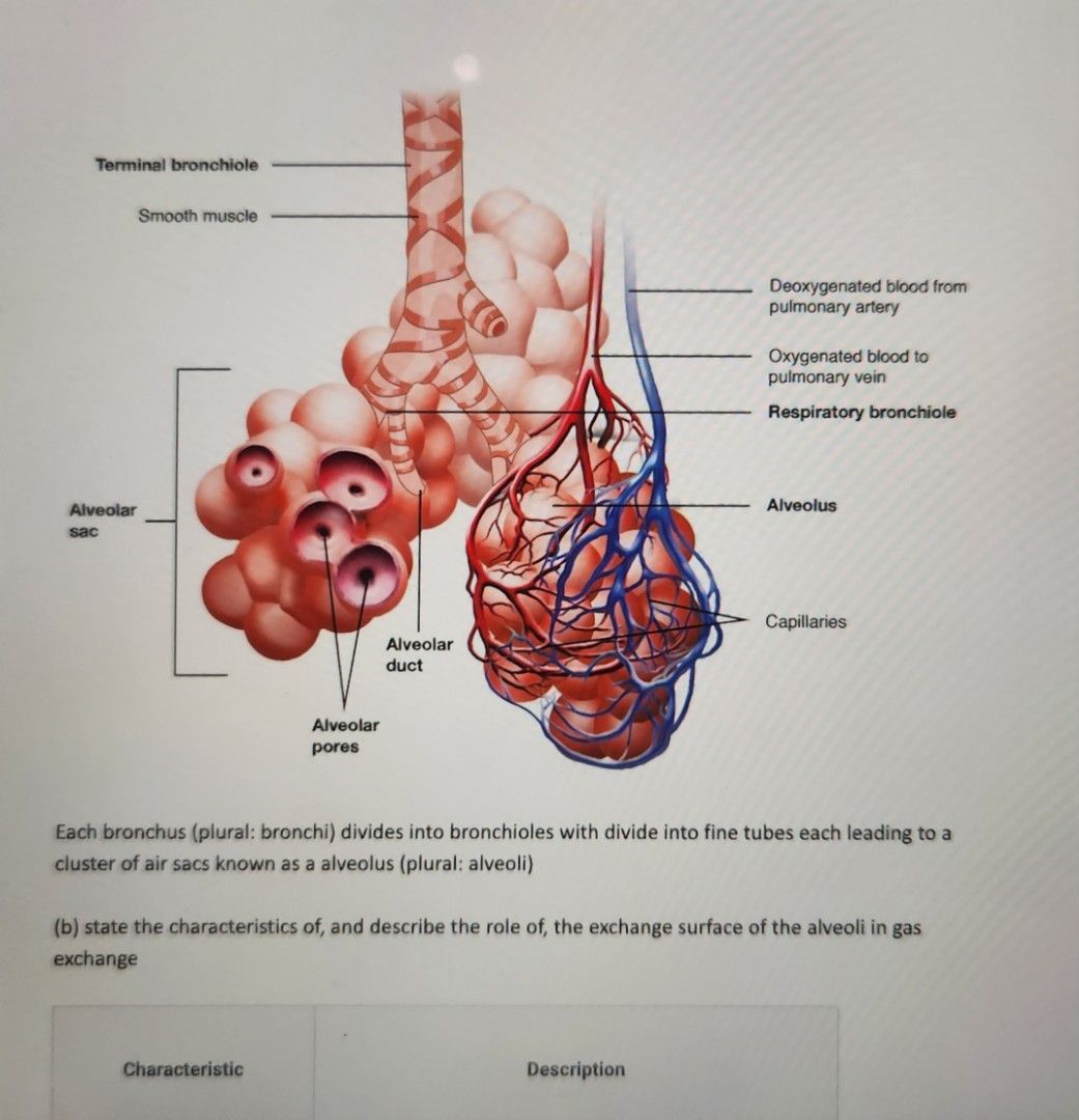 O Level Pure Biology Comprehensive Notes for ALL topics, Hobbies & Toys ...