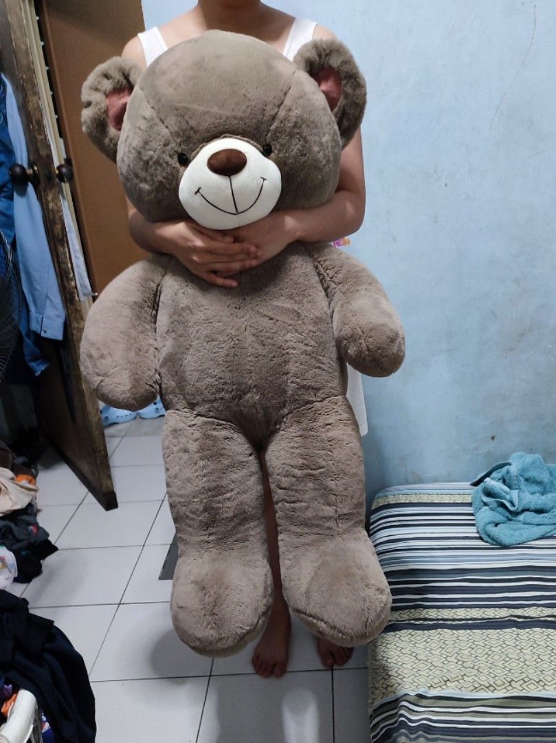 Pamigay presyo Teddy Bear Cuddable Stuffed toy, Hobbies & Toys, Toys ...