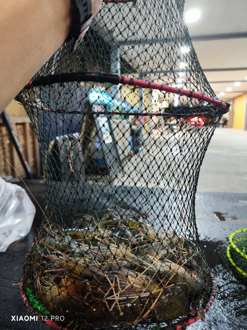 Prawning / Fishing Bait seasoning Shrimp Powder ( Super Power ), Sports ...