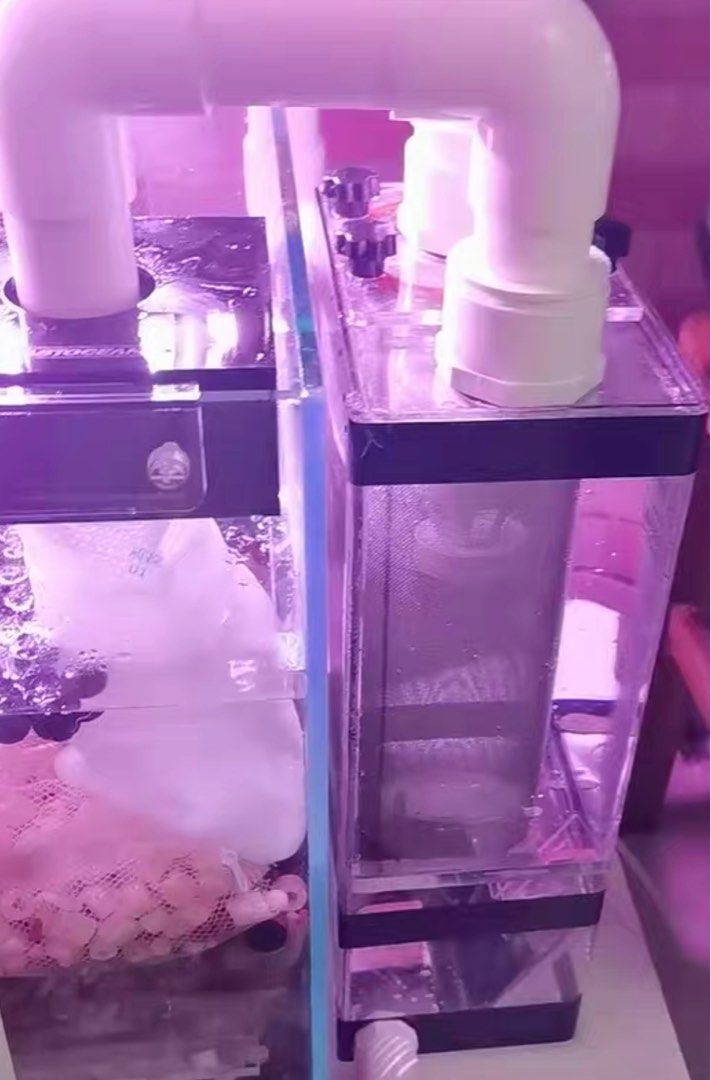 Pre Sump tank waste separator, Pet Supplies, Homes & Other Pet ...