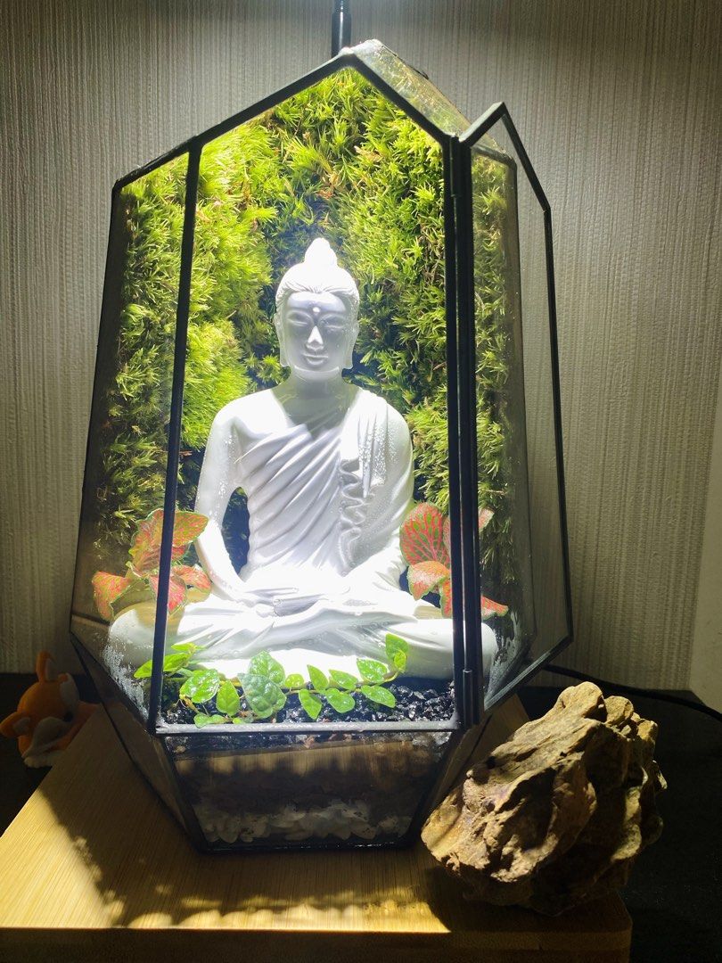 Terrarium- Zen & Buddha, Furniture & Home Living, Gardening, Plants ...