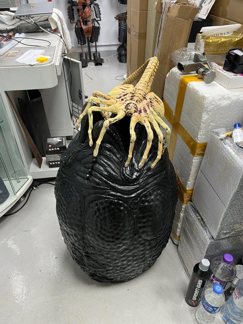 Alien Egg Facehugger 1/1 異形蛋 抱臉蟲, 興趣及遊戲, 玩具 & 遊戲類 - Carousell