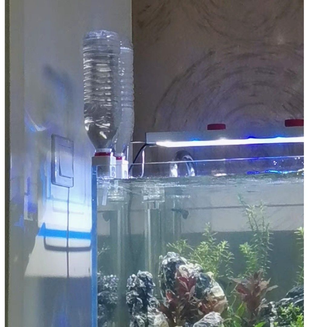 automatic water refill aquarium grass tank, Pet Supplies, Homes & Other ...