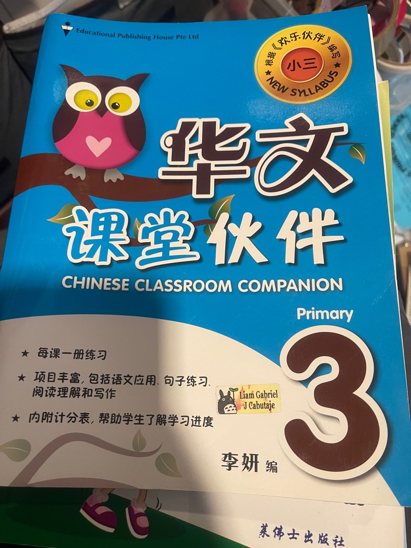 Chinese Assessment Book, Hobbies & Toys, Books & Magazines, Assessment ...