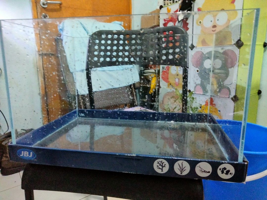 Crystal fish tank, Pet Supplies, Homes & Other Pet Accessories on Carousell