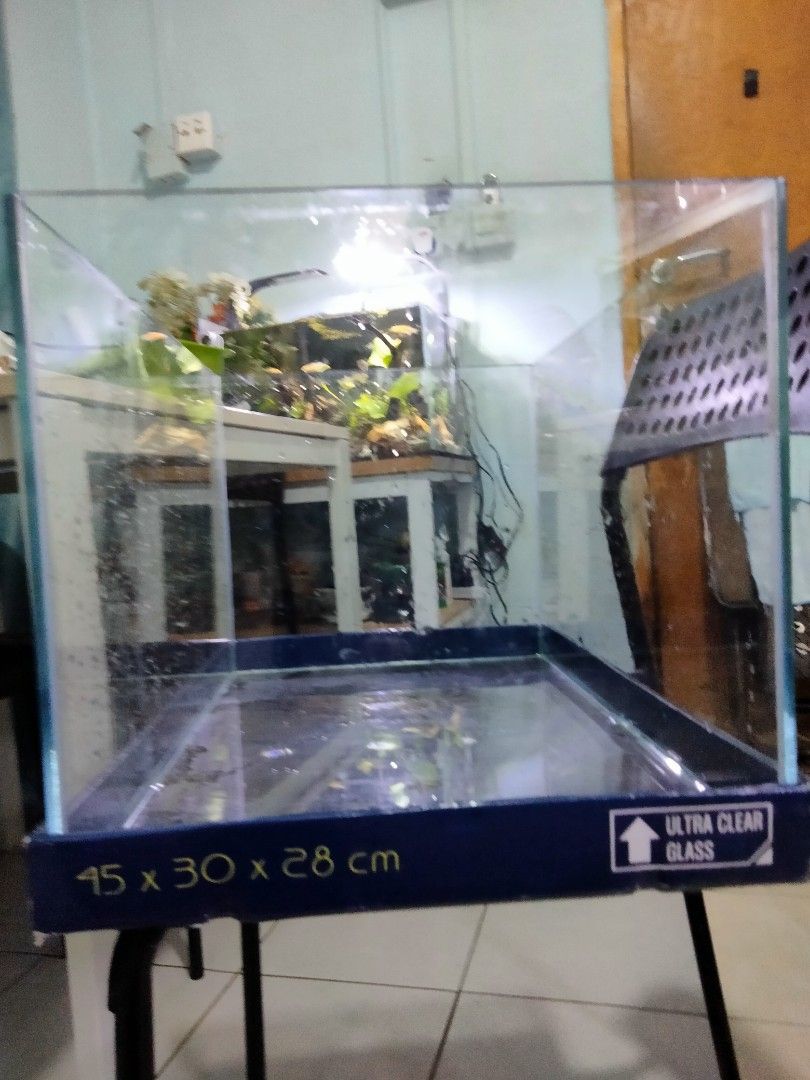Crystal fish tank, Pet Supplies, Homes & Other Pet Accessories on Carousell