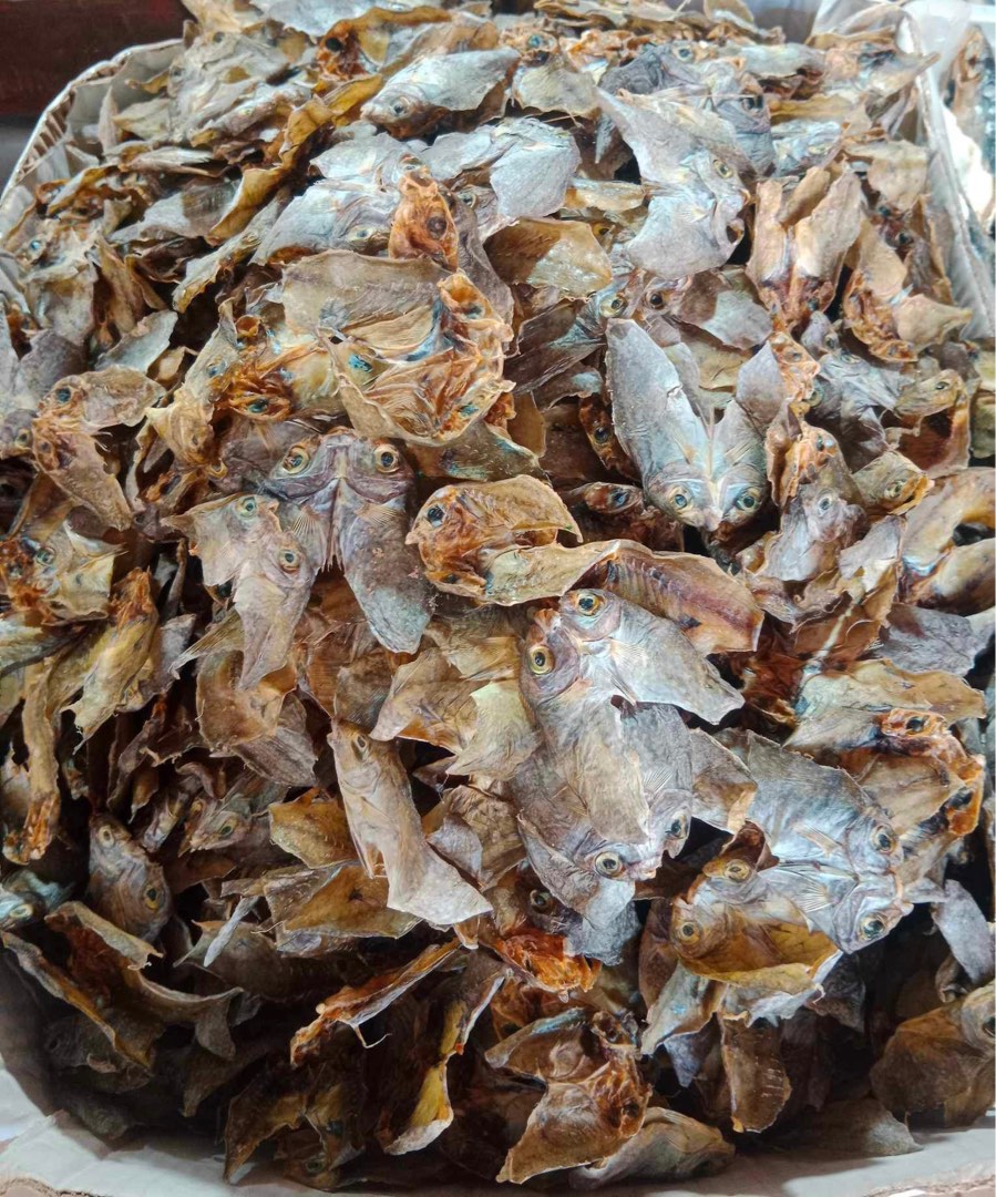 Dried Danggit, Food & Drinks, Other Food & Drinks on Carousell