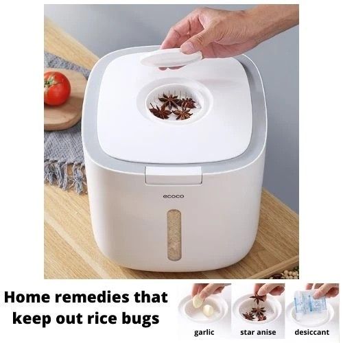 Ecoco Rice Container 5kg, Furniture & Home Living, Kitchenware ...