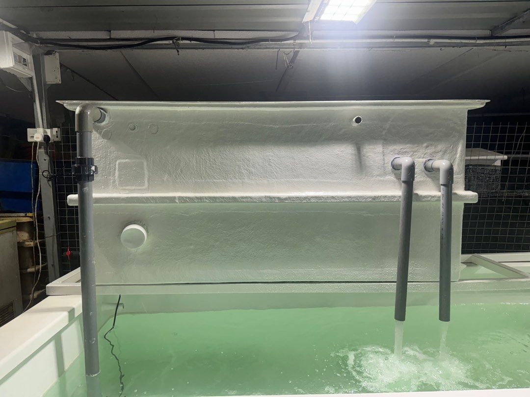 Fgt (fiber glass tank) 11ft by 5ft by 3ft with 6ft by 2ft by 3ft filter ...