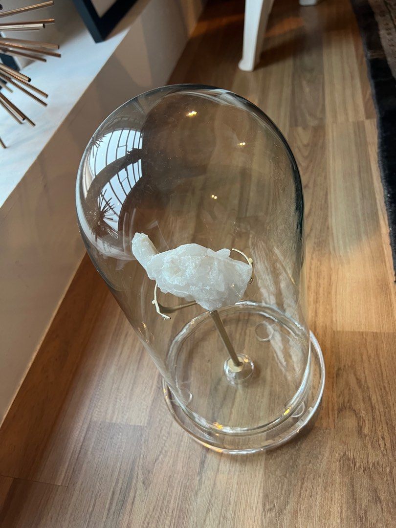 Glass Decor Displays, Furniture & Home Living, Home Decor, Other Home ...