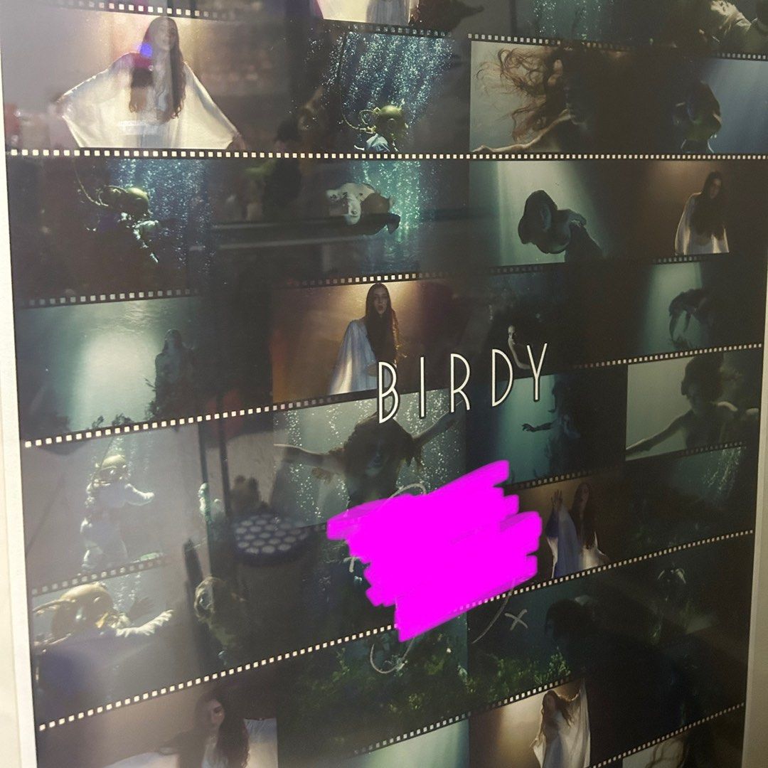 RARE BIRDY Offical Signed Poster, Hobbies & Toys, Music & Media, CDs ...