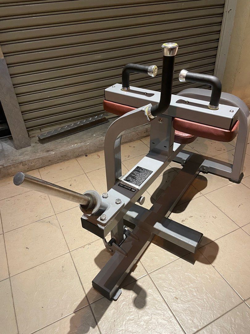 Seated calf raise gym soleus muscle, Sports Equipment, Exercise ...