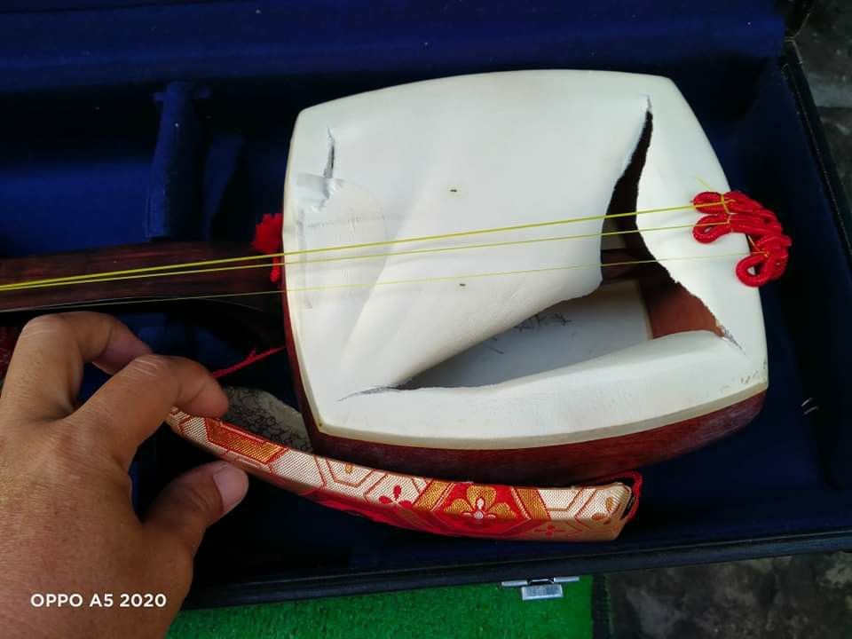 Shamisen instrument, Hobbies & Toys, Music & Media, Music Accessories ...
