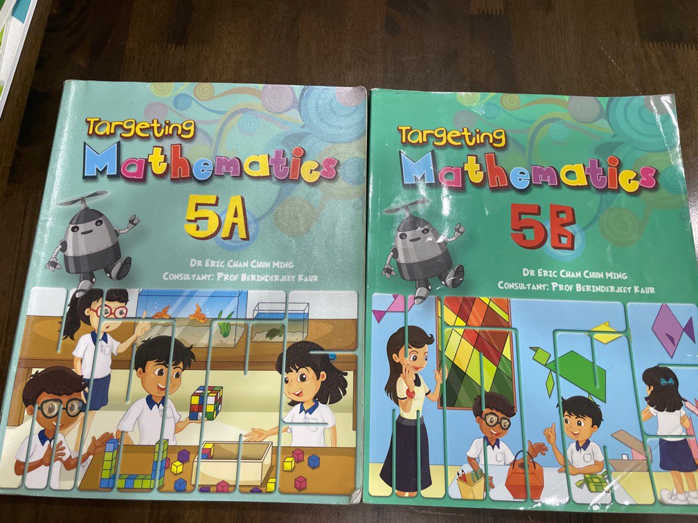 Targeting Mathematics P5 Hobbies And Toys Books And Magazines Textbooks