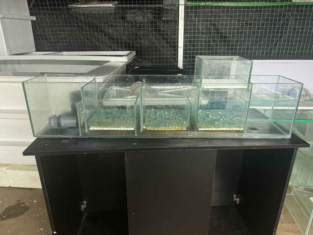 Used 4ft top sump, Pet Supplies, Homes & Other Pet Accessories on Carousell