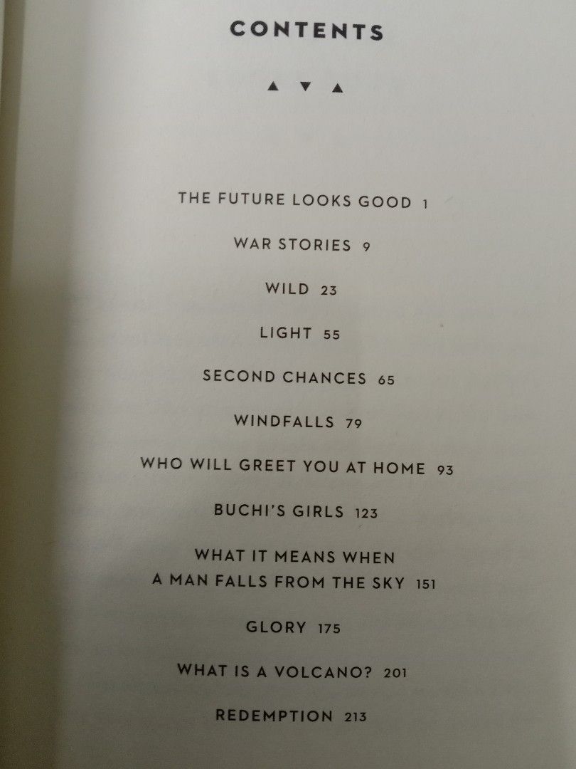 WHAT IT MEANS WHEN A MAN FALLS FROM THE SKY, Hobbies & Toys, Books ...