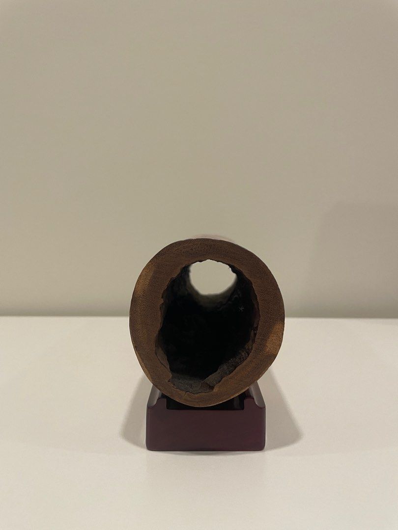 Australian Emu Caller Hand Painted on Native Timber, Hobbies & Toys ...