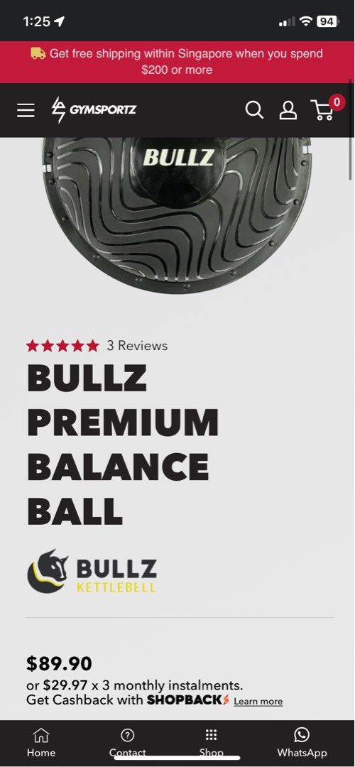 BULLZ PREMIUM BALANCE BALL, Sports Equipment, Other Sports Equipment ...