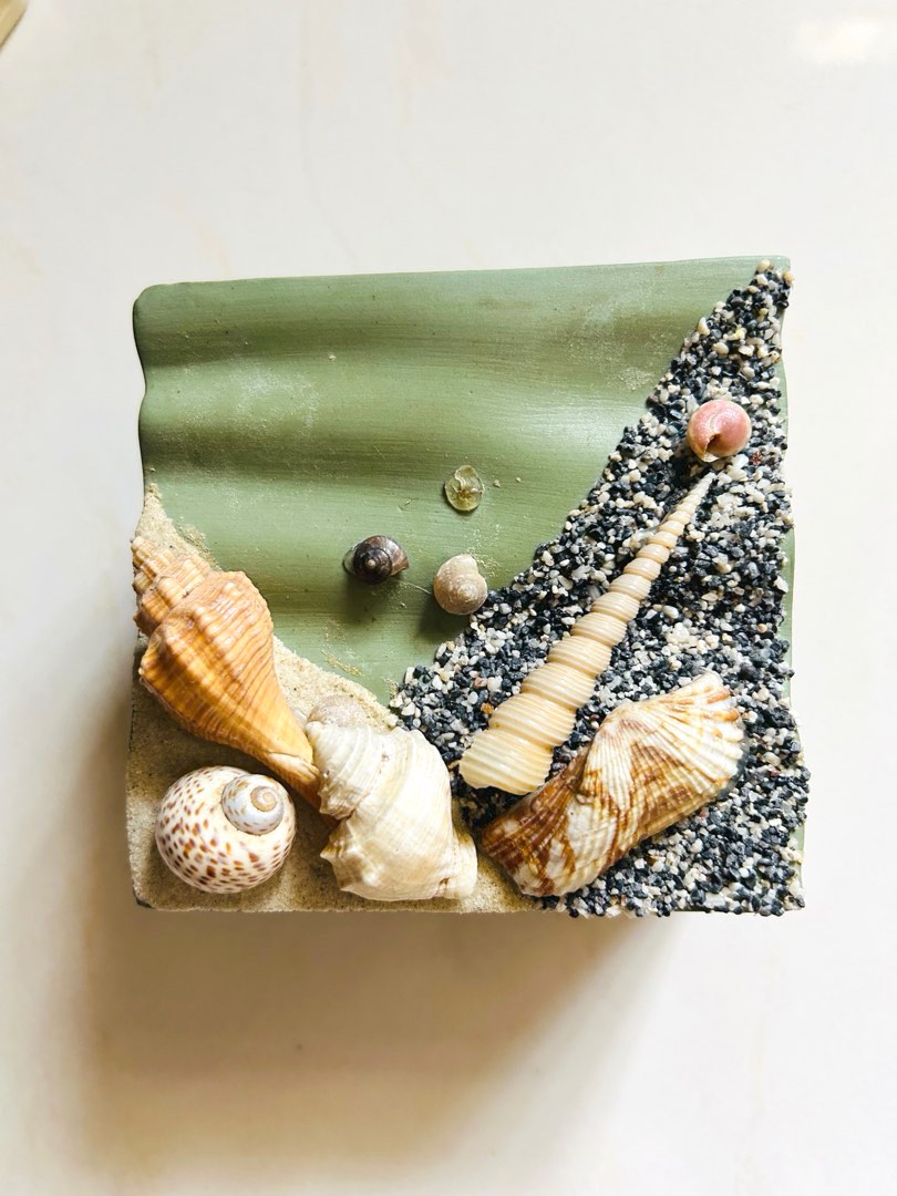 Green seashells Clay organizer, Furniture & Home Living, Home ...