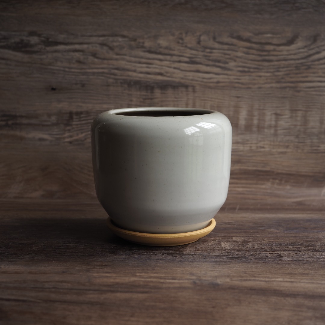 Jupiter Plant Pot, Furniture & Home Living, Gardening, Pots & Planters ...