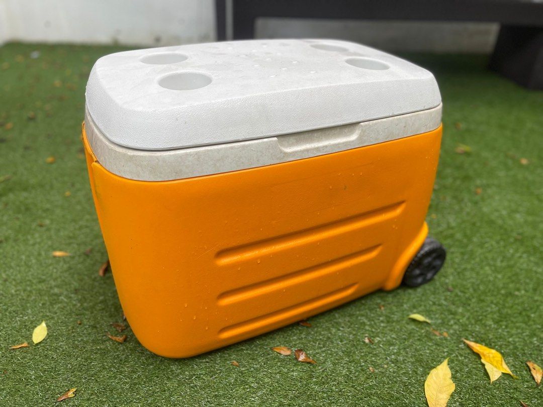 Medium cooler ice box, TV & Home Appliances, Kitchen Appliances ...