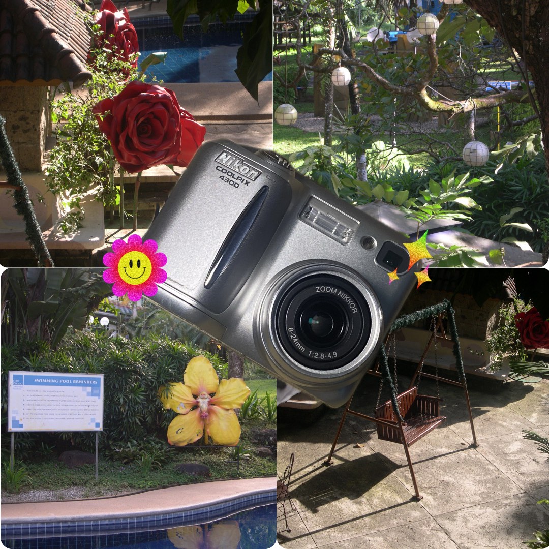 Nikon Coolpix 4300 (RARE), Photography, Cameras on Carousell