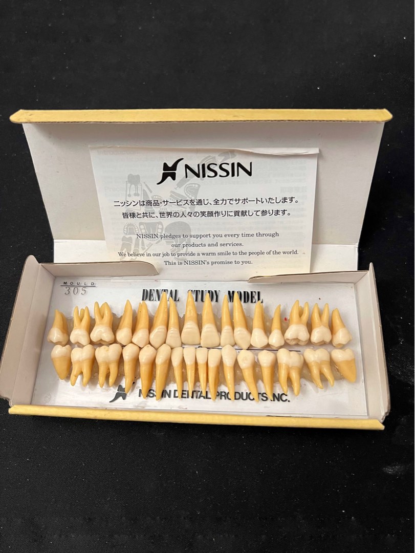 Nissin Tooth Model, Health & Nutrition, Medical Supplies & Tools on ...