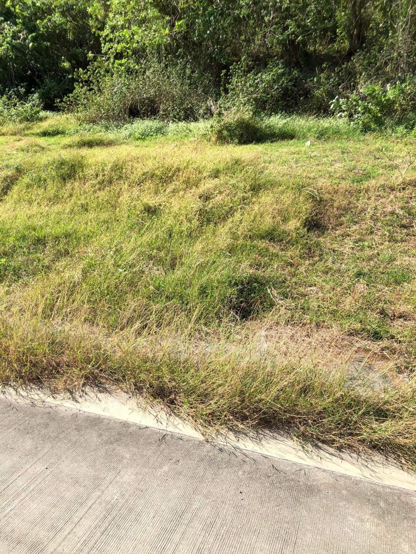 Playa Calatagan, Property, For Sale, Lot on Carousell