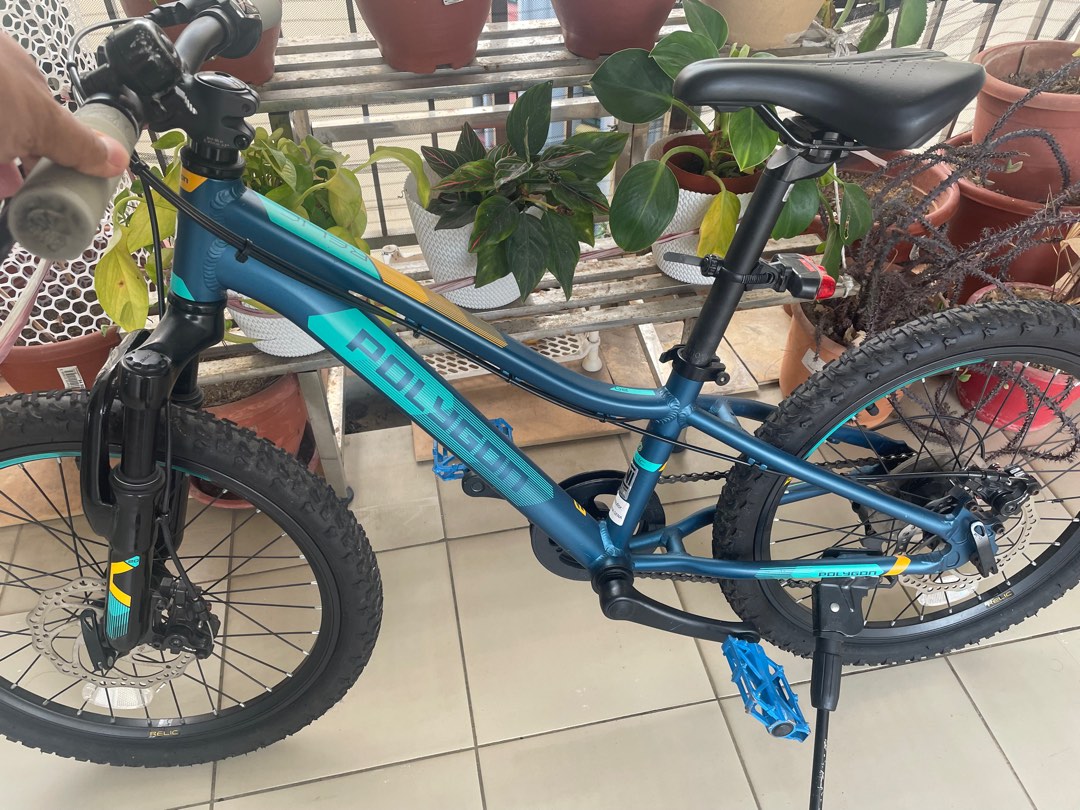 Polygon 20 inch, Sports Equipment, Bicycles & Parts, Bicycles on Carousell