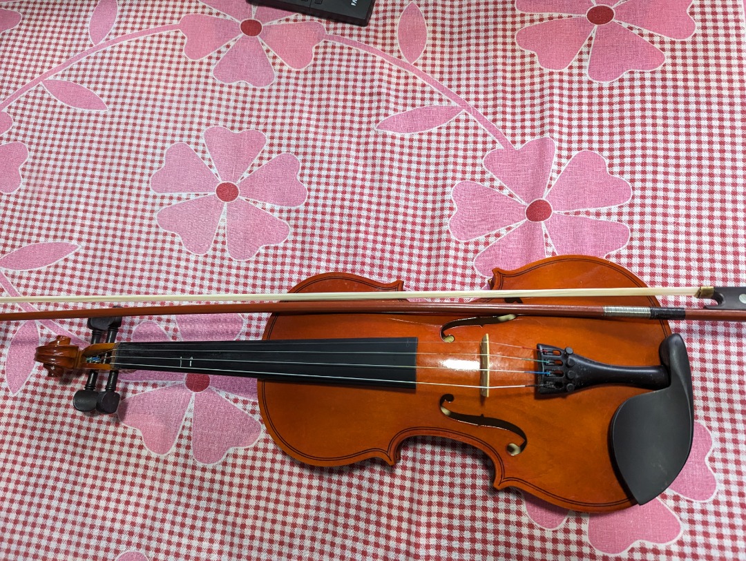 Violin, Hobbies & Toys, Music & Media, Musical Instruments on Carousell