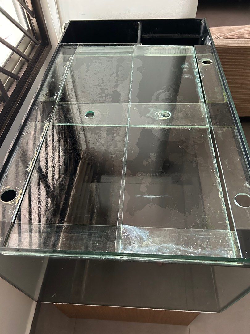 3 foot iOS fish tank, Pet Supplies, Homes & Other Pet Accessories on ...