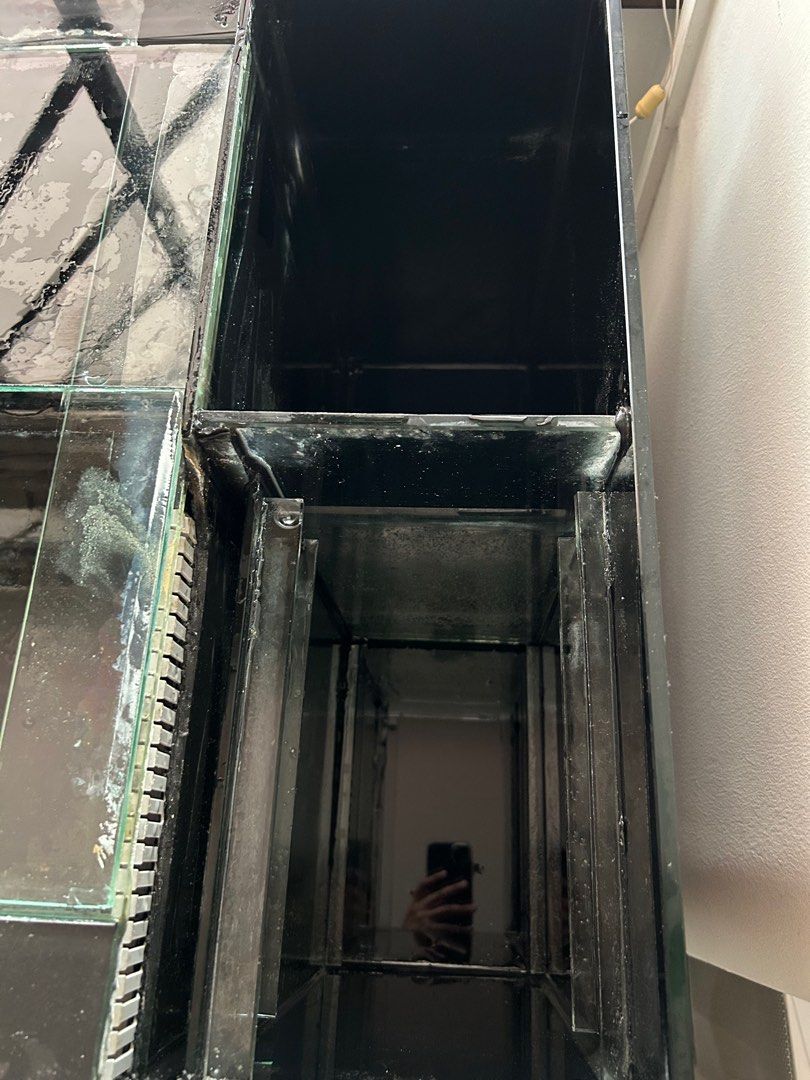 3 foot iOS fish tank, Pet Supplies, Homes & Other Pet Accessories on ...