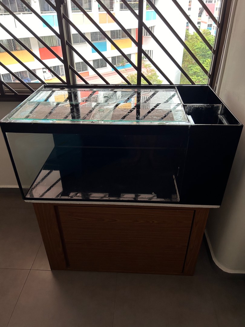 3 foot iOS fish tank, Pet Supplies, Homes & Other Pet Accessories on ...