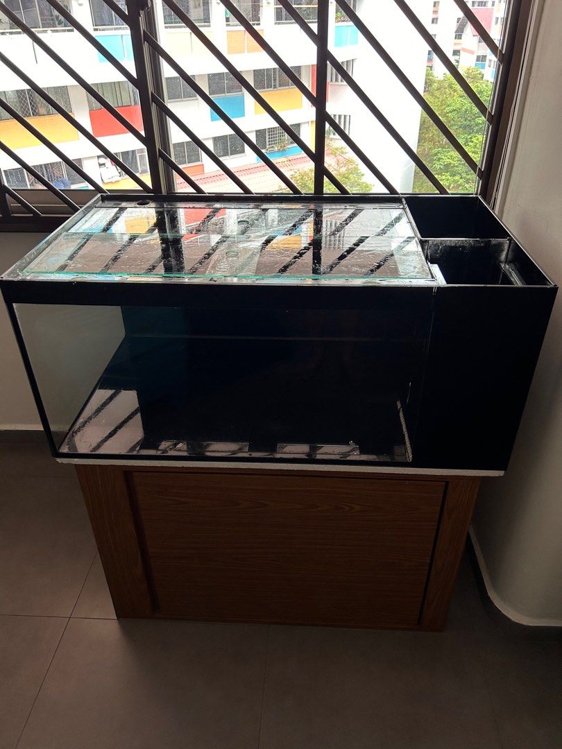 3 foot iOS fish tank, Pet Supplies, Homes & Other Pet Accessories on ...